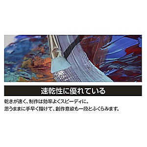 Turner acrylic gouache 24 colors set school (japan import) by Turner color