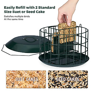 Kingsyard Squirrel Proof Suet Feeder, Cage Bird Feeders for Outdoors Hanging, All Metal, Double Suet Cake Capacity, Tray & Weatherproof, Green