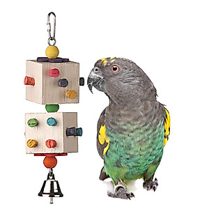 Super Bird Creations SB1103 Parrot-Dice Bird Toy, Medium Bird Size, 9" x 2.5" x 2.5"
