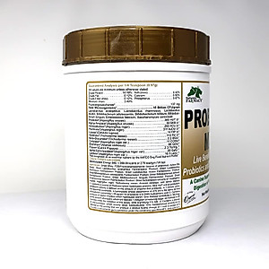 Dogzymes Probiotic Max -10 Billion CFU's Probiotics, Prebiotics, Digestive Enzymes (2 Pound)