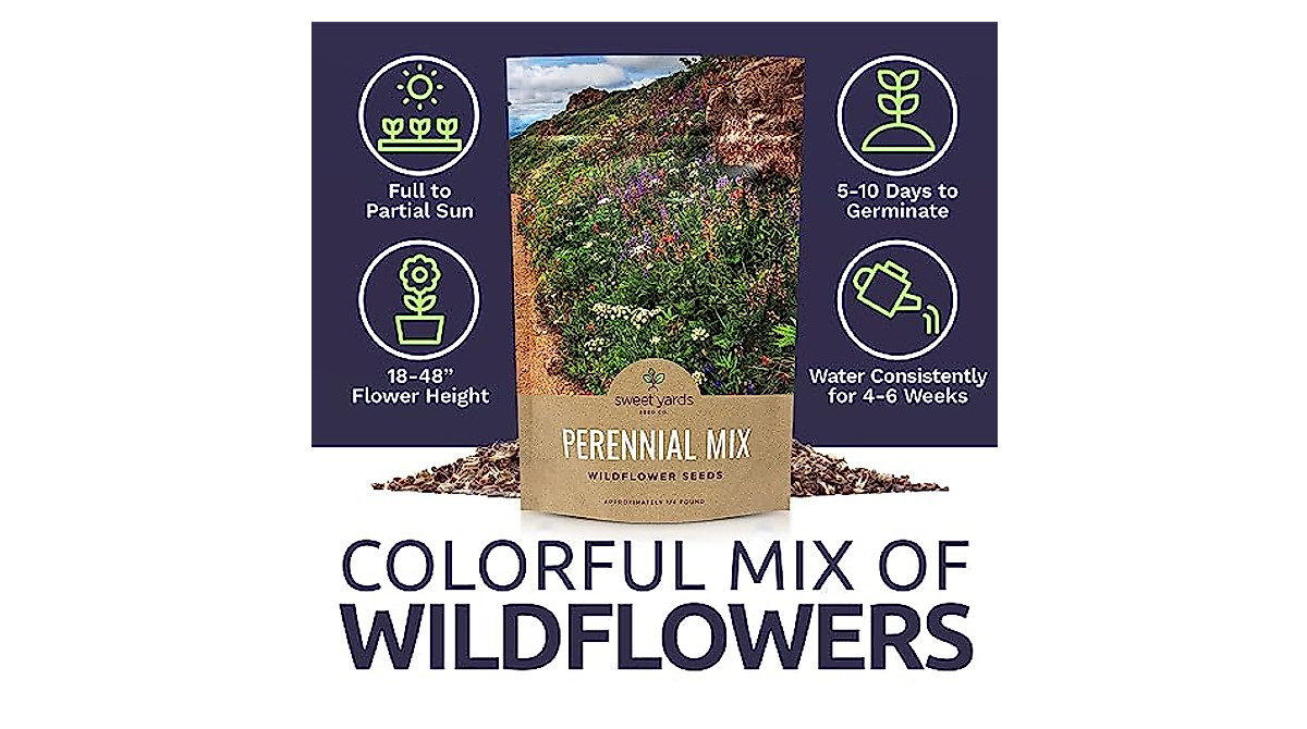 Perennial Wildflower Seeds Mixture - Bulk 1/4 Pound Bag - Over 60,000 ...