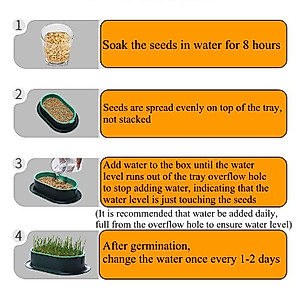 BATDIYOW Seed Sprouter Tray with Drain Holes Wheatgrass Grower Sprouting Container for Garden Home