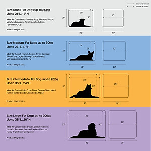 DIGGS Revol Collapsible Dog Crate with Wheels - Premium Portable Dog Crate - Safe, Stylish, and Convenient Indoor Kennel (Ash, Intermediate)