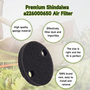 AWSZH 10 PCS A226000650 Air Filter Fits 20056-81740 Engine 100-796 Air Filter for OEM Shindaiwa B450 C27 C270 C350 and RC45 Brush Cutters PB270 Power Brooms T27 T270 and T350 Trimmers
