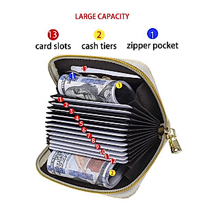 ENYISDAN RFID Blocking Leather Womens Wallet with Credit Card Case Zipper Pocket Small Credit Card Wallet Organizer Travel (Nebula)(Ladybug Pack Product Features.)