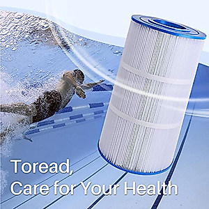 TOREAD Replacement for Pool Filter PA90, CX900RE, C900, Unicel C-8409, Filbur FC-1292, Posi-Clear Sta-Rite PXC95, Clearwater II ProClean 100, Aladdin 19002, 25230-0095S, 1 Pack