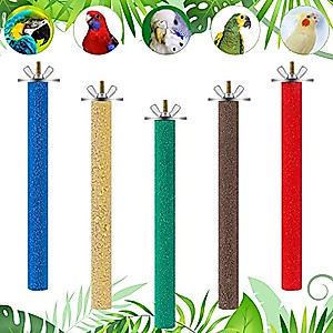 10 Pieces Bird Perch Stand Parrot Stand Paw Grinding Stick Parrot Perch Rough Surfaced Bird Cage Stand Colorful Wooden Parakeet Perch Bird Toys for Cockatiels Bird Cage Accessories