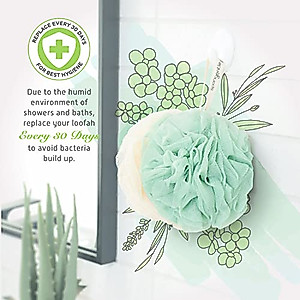 Spongentle Dual Texture Deep Cleansing Loofah Sponge for Radiant Skin, Pack of 4, Bath and Shower, Exfoliating Body Scrubber, Beautiful Colors for Women and Men