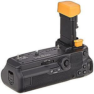 Canon BG-R10 (4365C001)