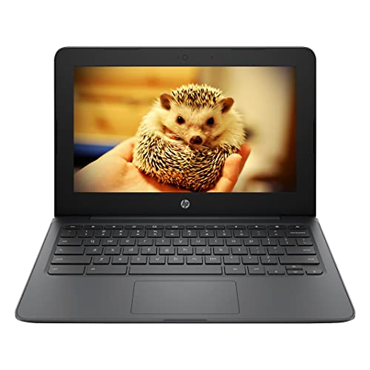 HP 2022 Chromebook 11.6" HD for Business and Student Laptop, Intel Celeron N3350 Processor, 4GB RAM, 160GB Storage( 32GB eMMc+128GB MicroSD), Intel HD Graphics, HD Webcam, Gray, Chrome OS