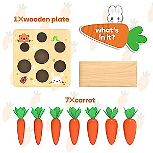 XPIY Montessori Toys for Babies 6-12 Months, Educational Shape Sorting Toys for Toddler Fine Motor Skill Development, Carrots Harvest Wooden Puzzle, Gift for Kids First Birthday