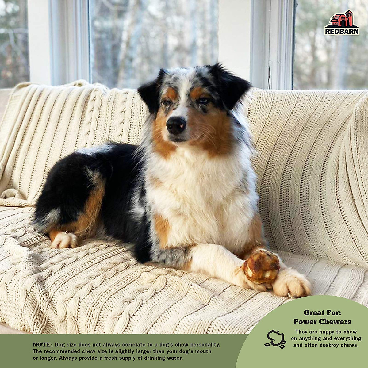 Redbarn Knee Caps for Dogs, All-Natural Single-Ingredient Chews | Great for Aggressive/Power Chewers, 4-Count (Pack of 3)