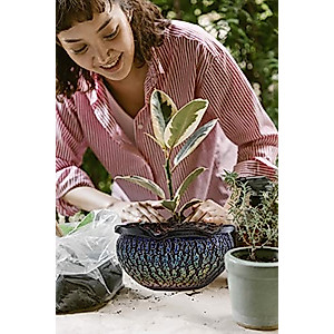 FFPOPU Bonsai Pots, Large Rough Pottery Succulent Planter with Drainage Hole, Purely Handmade Large Ceramic Bonsai Tree Pot,Green Bonsai Planter for Bonsai Lovers