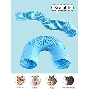QWINEE Hamster Fun Tunnel Plain Pet Fordable Exercising Training Hideout Tunnel Scalable Pet Plastic Tube Toys for Guinea Pigs Gerbils Rats Mice Ferrets and Other Small Animals Blue One Size
