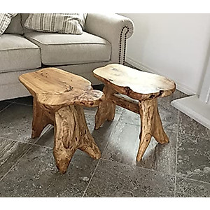GREENAGE Cedar Roots Stool Naturally Shaped A-Leg, Size, 10" x 13.5 x 12.2 H, Wood Stump Side Table Stand Home Décor End Table
