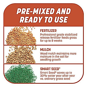Pennington Smart Patch Bermudagrass Mix Jug 5 lb