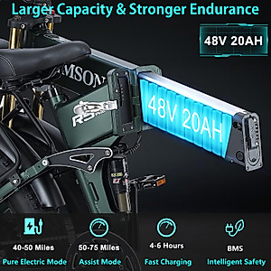 DAMSON 1000W Electric Bike Ebike for Adult 48V 20AH Removable Battery 26"X4"Fat Tire up to 30MPH &75 Miles Long Range Off Road Beach Mountain Electric Bicycle with Dual Hydraulic Disc Brakes