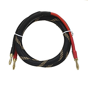 10AWG DIY Audiophile OFC Premium Heavy Duty Braided Stage Speaker Cable, with Dual Gold Plated Banana Plug Tips (6FT)