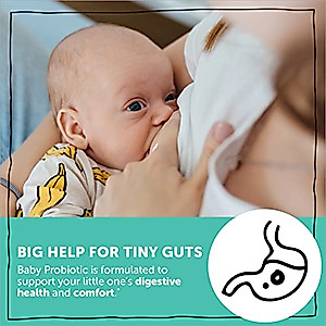 SmartyPants Baby Probiotic Drops: Probiotics for Digestive Health + Comfort & Immune Support, & DHA Vegan Liquid Drops for Babies (0-24 Months), Pediatrician Tested, 1.6 Billion CFU - 30 Day Supply