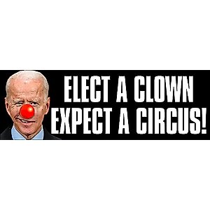 Black Biden Elect a Clown Expect a Circus Bumper Sticker (Anti Joe not My President Trump Vinyl (3 x 9 inch)