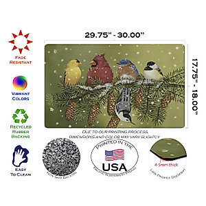 Toland Home Garden 800093 Snowy Friends Winter Door Mat 18x30 Inch Bird Outdoor Doormat for Entryway Indoor Entrance