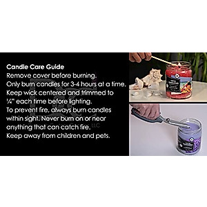 Lilac Blossom Odor Eliminating Highly Fragranced Candle - Eliminates 95% of Pet, Smoke, Food, and Other Smells Quickly - Up to 80 Hour Burn time - 12 Ounce Premium Soy Blend