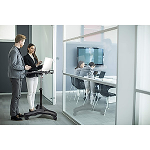 Aidata LPD008P Laptop/Notebook/Table Desk Cart
