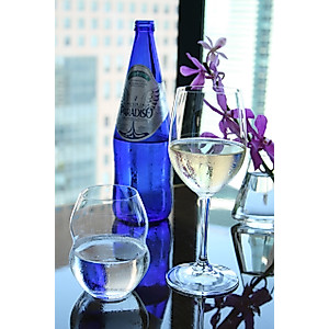 Riedel Swirl Wine Glass, 2 Count (Pack of 1), Clear