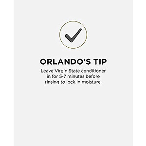 ORLANDO PITA PLAY Virgin State Intensive Repair Conditioner, Helps to Detangle & Smooth Distressed Hair, Restores Shine & Helps Resist the Effects of Thermal Damage, 9.2 Fl Oz