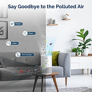 2 Pack MOOKA AP-S0610L Air Purifier Filter, 3-in-1 True HEPA Filter, High-Efficiency Activated Carbon Air Filter for Smoke, Odor, Dander, Pollen