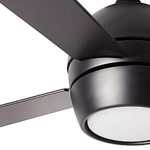 Fanimation 44 inch Indoor Ceiling Fan with LED Light Kit - Black