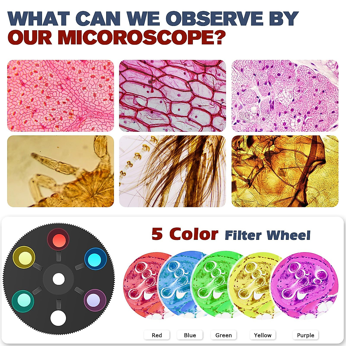 Temery Microscope for Adults Kids Students, 40X-2000X Microscope for Beginners, Biological Microscope Kit with Phone Holder, 10pcs Specimen Slides, 20 Pcs Slides & 100pcs Coverslips, Storage Bag