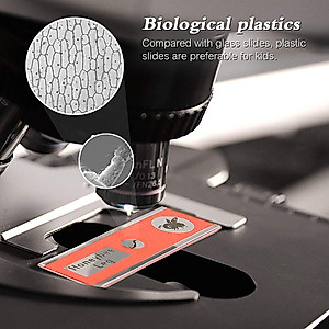 Ninyoon 48pcs Microscope Slides with Specimens for Kids – Kids Prepared Stereo Microscope Slides for Stereo Microscope and Other, Animals Insects Plants Flowers Specimens