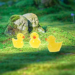 SEWACC 10pcs Micro Landscape Ornament Kitten Ornament Miniature Bonsai Decor Desk Topper Small Statue Garden Decoration Mini Ducks Decorations for Home Little Duck Resin Animal