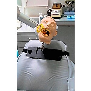 Dental X-Ray Simulator Manikin Training Model