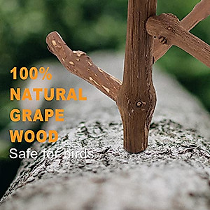 Filhome Bird Perch Stand Toy, Natural Wood Parrot Perch Bird Cage Branch Perch Accessories for Parakeets Cockatiels Conures Macaws Finches Love Birds(9.8" Length)