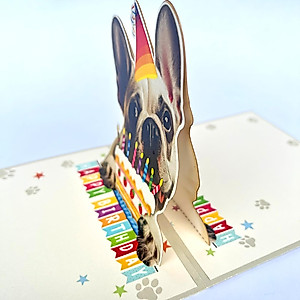 Funny French BullDog Dog 3D Birthday Funny Pop Up Cards - French Bull Dog 3D Birthday PopUp Cards - Happy Birthday Lovely Cards for French BullDog Lovers