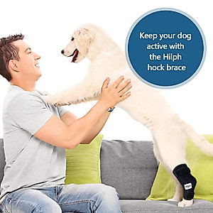 Hilph Dog Ice Pack for Rear Leg Hock,Cooling Hock Wraps with 2 Gel Ice Packs, Cold and Heat Compression Therapy for Dogs Hock Injuires, Dog Joint Pain, Sprains and Post Surgery Recovery (Large)