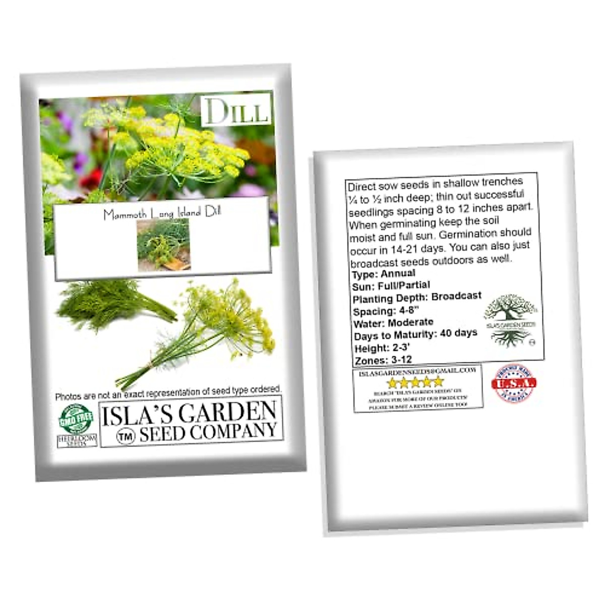 "Mammoth Long Island" Dill Seeds for Planting, 1500+ Seeds Per Packet, (Isla's Garden Seeds), Non GMO & Heirloom Seeds, Botanical Name: Anethum graveolens, Great Herb Garden Gift