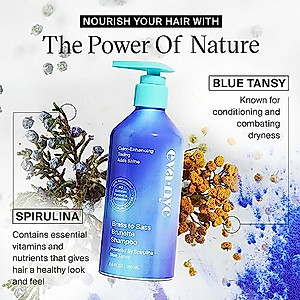 Eva NYC Brass to Sass Brunette Shampoo, Toning Blue Shampoo for Brunettes, Neutralizes Brassy Red and Orange Tones, Blue Shampoo for Color Treated Hair, 8.8 fl oz