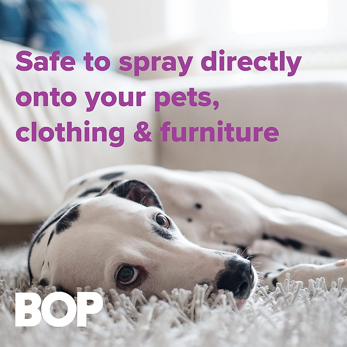 BOP Bed Bug, Flea and Tick Killer, 16.5 oz, Easy to Use Pest Control Spray, Kills Bugs On Contact and Keeps Your Home Insect Free, Indoor/Outdoor Use for Quick Results