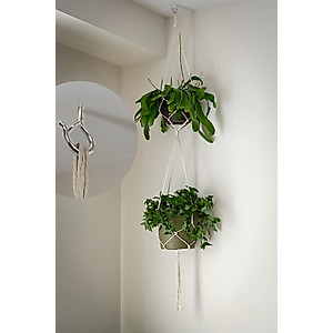 PlusRoc 20 Pack Stainless Steel Hooks for Hanging Christmas Xmas String Lights Outdoor Plants, 2.2 Inch Silver Cup Hooks Screw in Ceiling Hooks Eye Hook Q-Hanger, Wall Mount Ceiling Mount