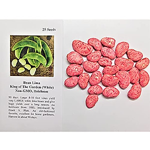 David's Garden Seeds Bean Lima Pole King of The Garden 6789 (White) 25 Non-GMO, Heirloom Seeds