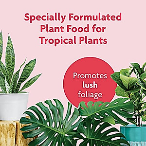 Miracle-Gro Tropical Houseplant Food - Liquid Fertilizer for Tropical Houseplants, 8 fl. oz.