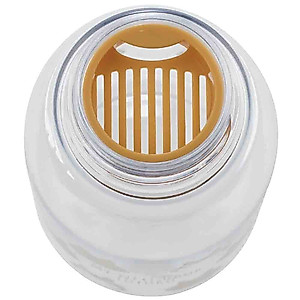 Skater PTY5-A Direct Drinking Water Bottle, 16.9 fl oz (500 ml), Infuser, Water Bottle, My Neighbor Totoro Silhouette Ghibli