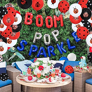 80 PCS Ladybug Balloons, 12 Inch Black White Polka Dots Latex Balloons Ladybug Pattern Balloons for Merry Christmas Party Ladybug Themed Party Supplies, Birthday, Wedding Baby Shower Decoration