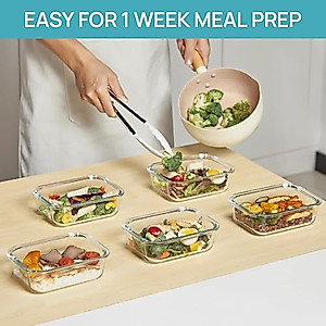 Vtopmart 10Pack 22oz Glass Food Storage Containers with Lids, Meal Prep Containers, Airtight Lunch Containers Bento Boxes with Snap Locking Lids for Microwave, Oven, Freezer and Dishwasher