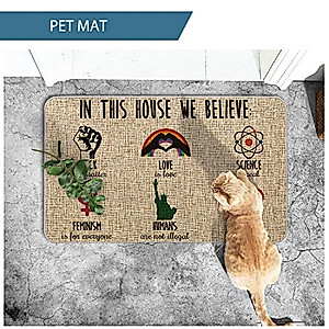 Artoid Mode in This House We Believe Decorative Doormat, Seasonal LGBT Science Feminism Humans Kindness Low-Profile Floor Mat Switch Mat for Indoor Outdoor 17 x 29 Inch