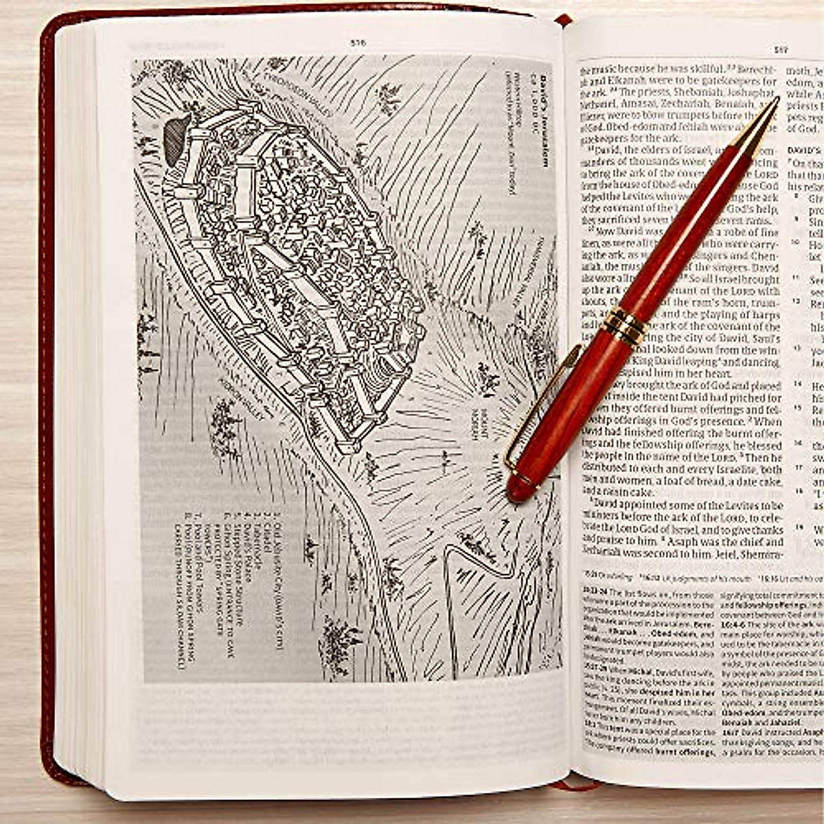 CSB Everyday Study Bible, British Tan LeatherTouch, Black Letter, Study Notes, Illustrations, Aricles, Easy-to-Carry, Easy-to-Read Bible Serif Type