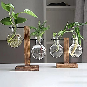 Kingbuy Hydroponic Glass Vase Vintage Desktop Plant Terrarium Planter Bulb Vase Water Planting Propagation Vase Planters Hydroponics Plants with Retro Wooden Stand Home Garden.